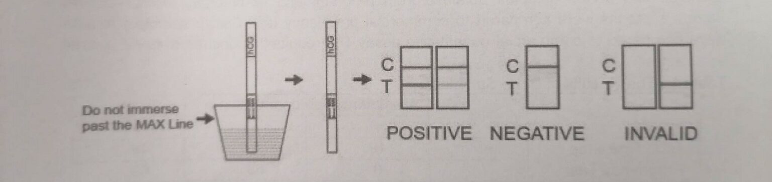 HCG TEST RAPIDE DE GROSSESSE 25mUI/mL – Medquick professionnel